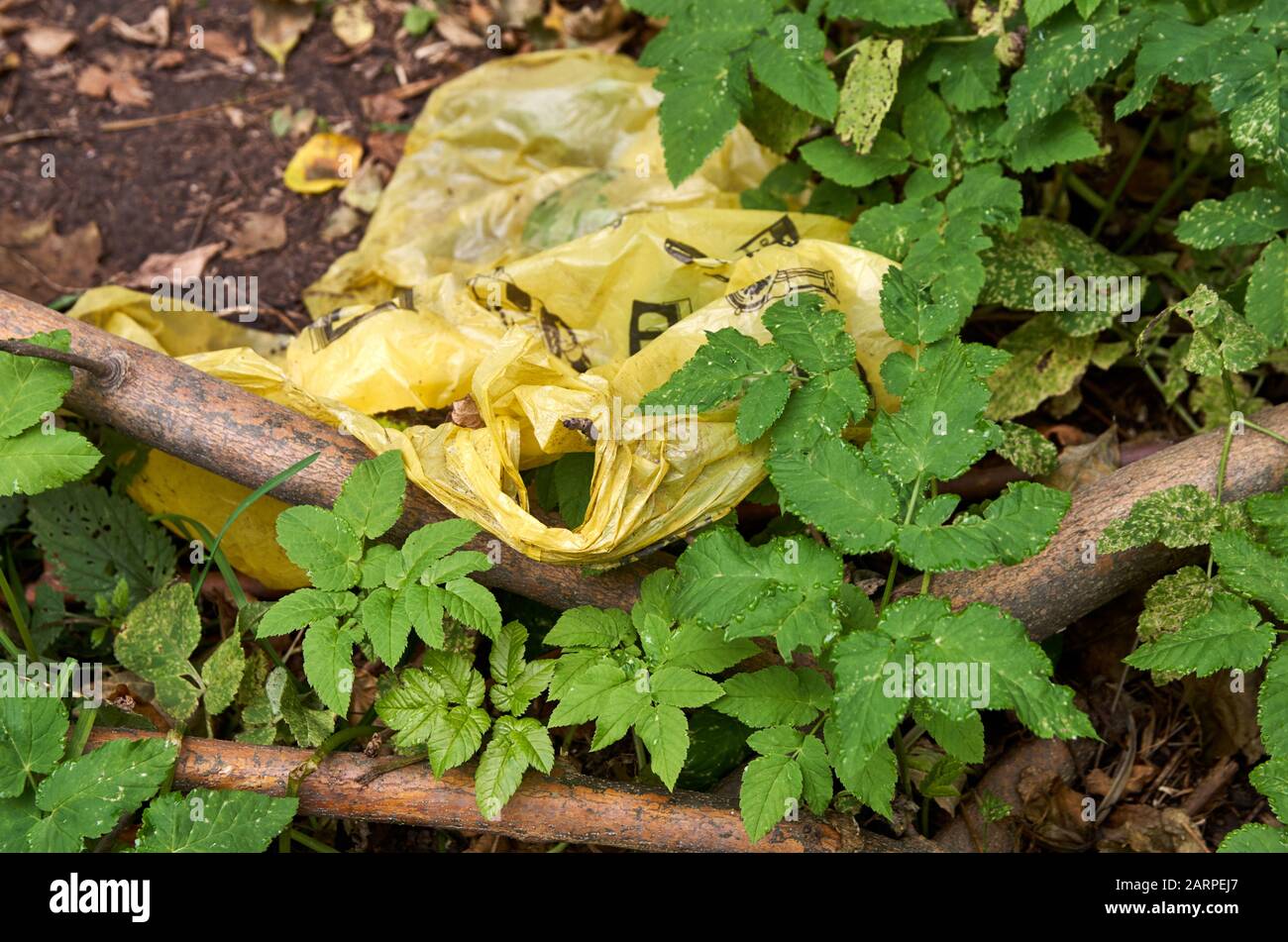 Diminishment hi-res stock photography and images - Alamy
