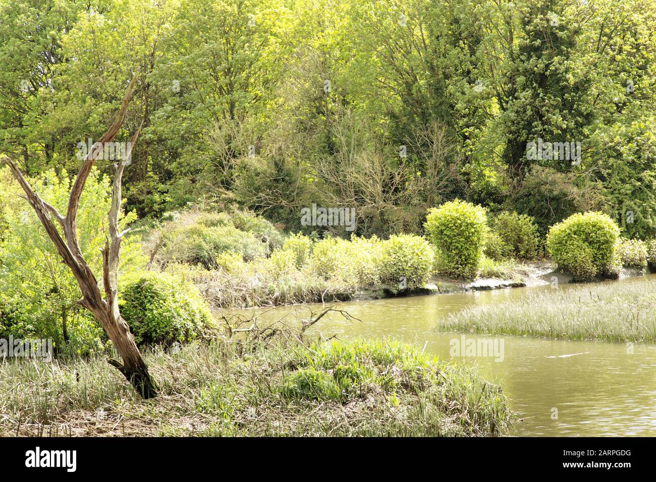 landscape image in essex england of a river Stock Photo - Alamy