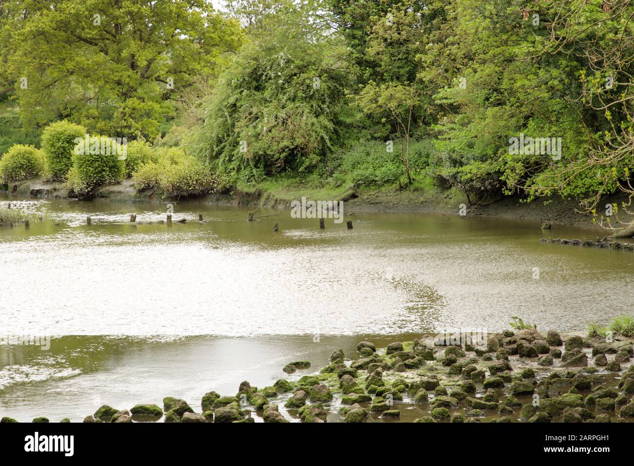 landscape image in essex england of a river Stock Photo - Alamy