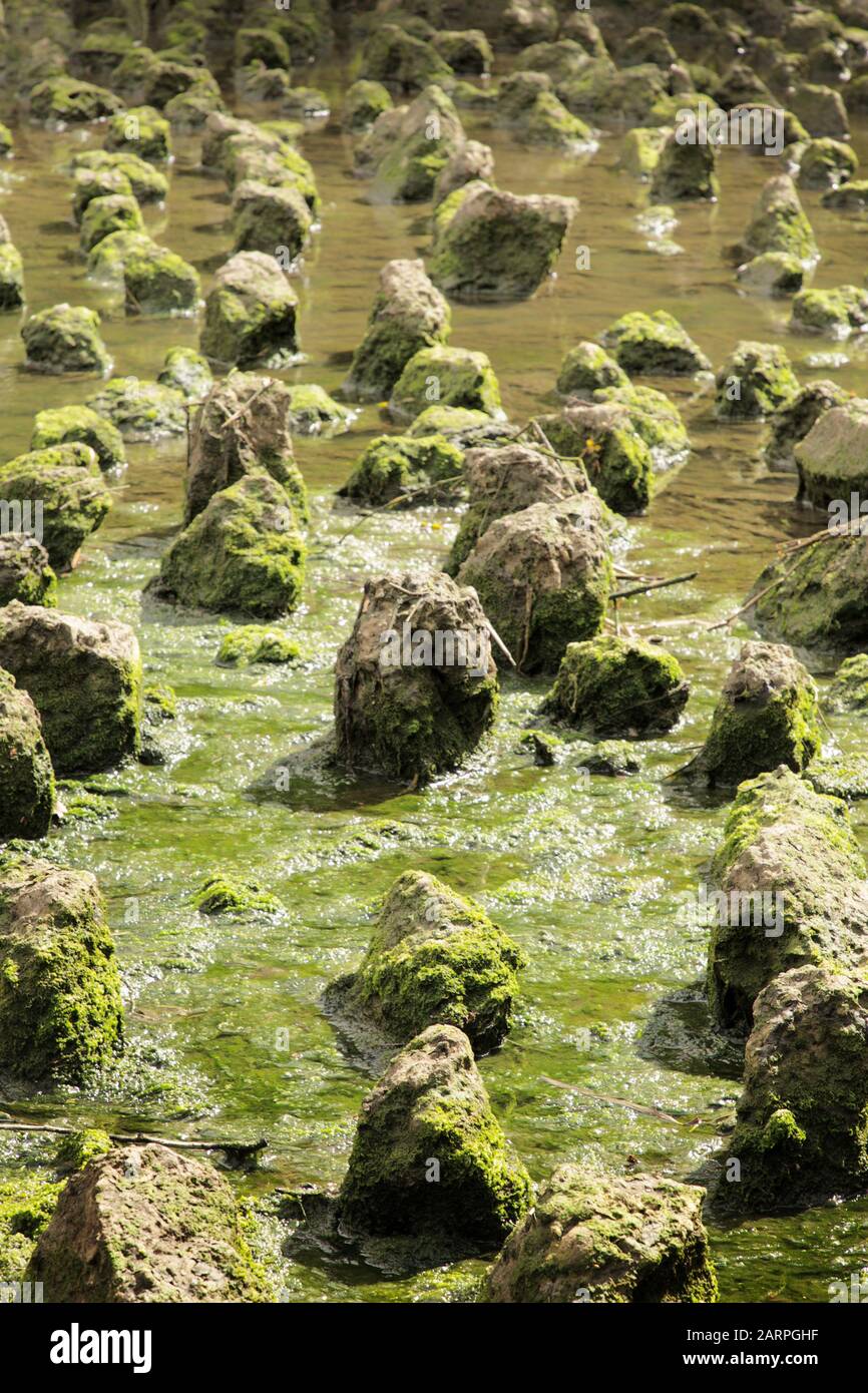 Dried up river bed hi-res stock photography and images - Alamy