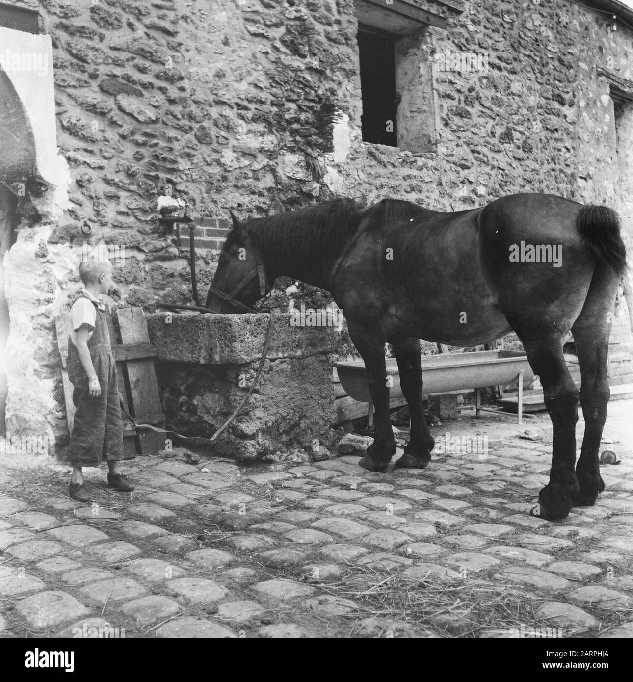 Dutch farmers are going to set up a business in France World War II ...
