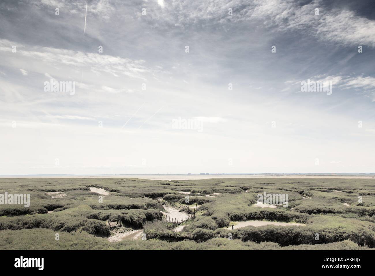 Marsh lands hi-res stock photography and images - Alamy