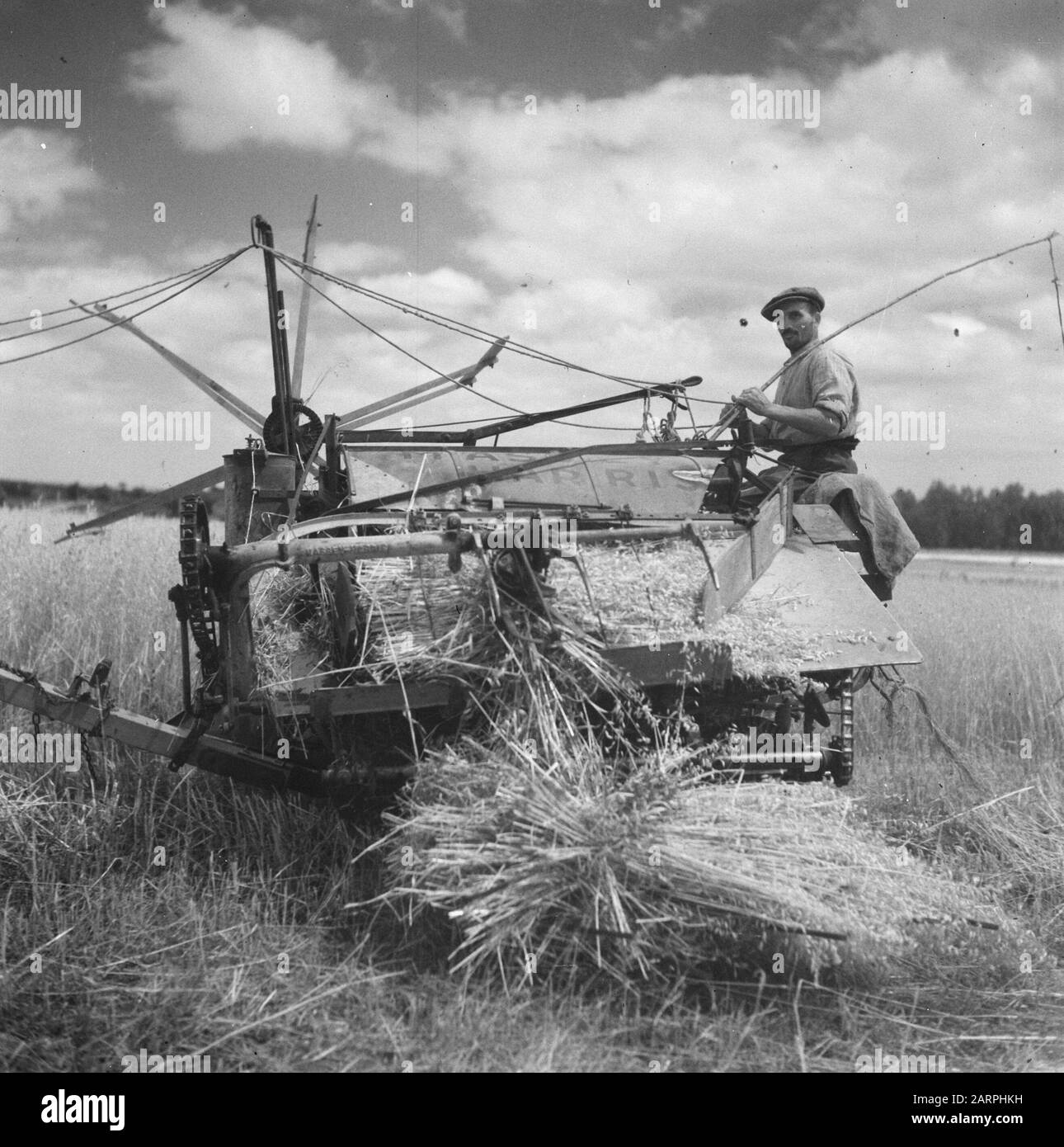 Dutch farmers set up a business in France Dutch farmers set up a ...