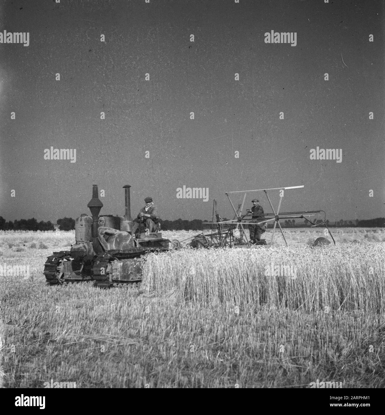 Dutch farmers are going to set up a business in France World War II ...