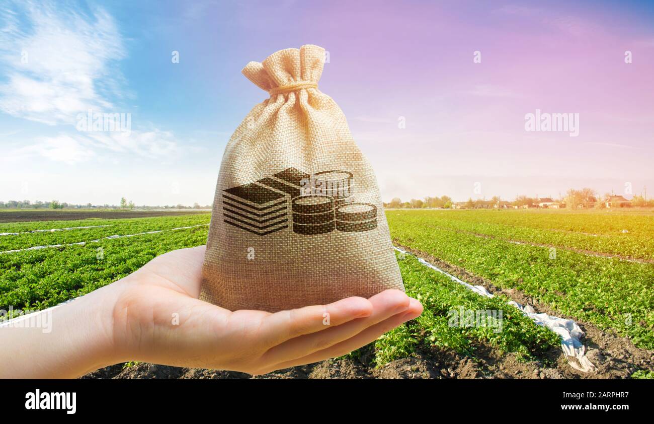 Money bag on the background of agricultural crops in the hand of the ...
