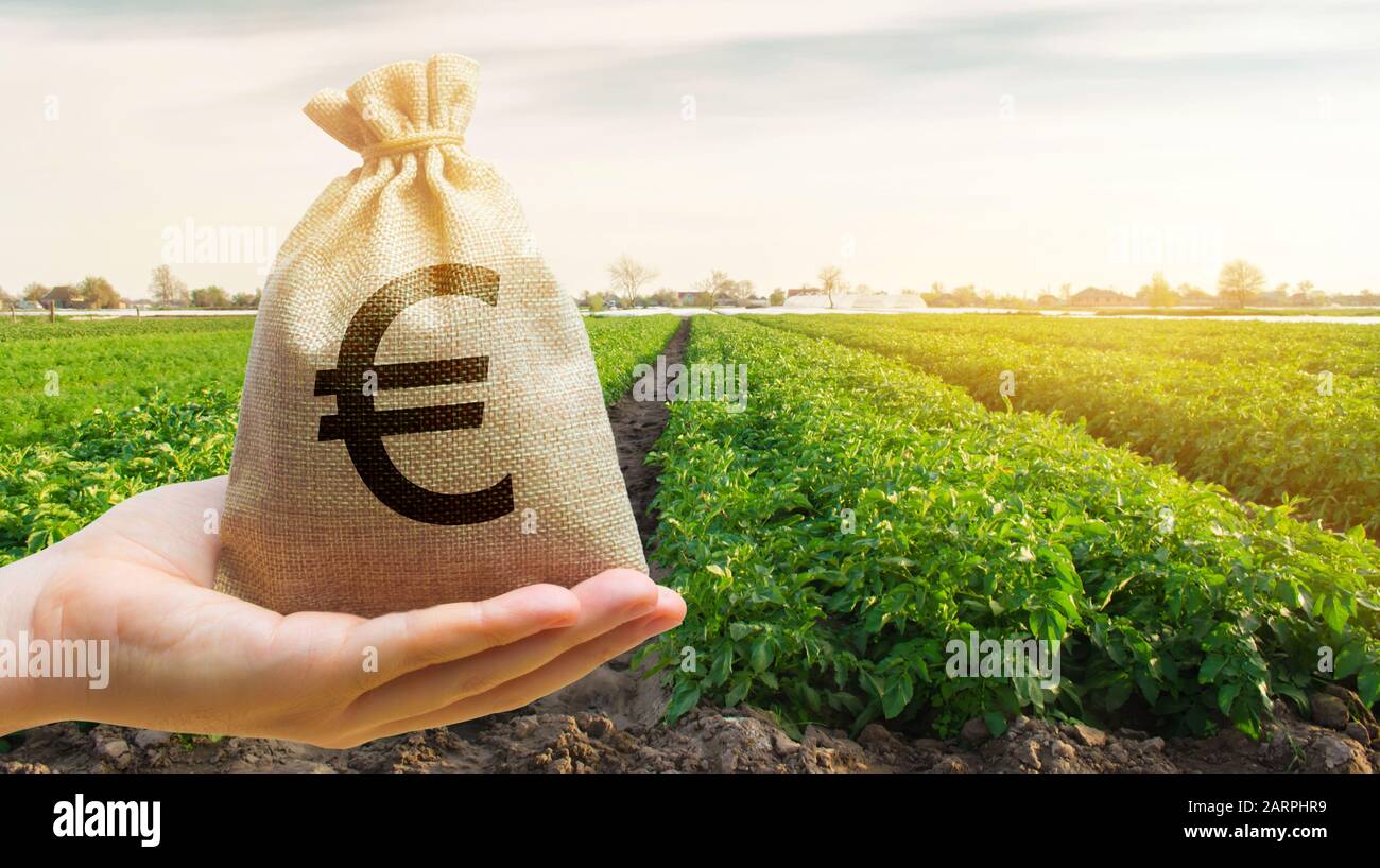 Money bag on the background of agricultural crops in the hand of the ...