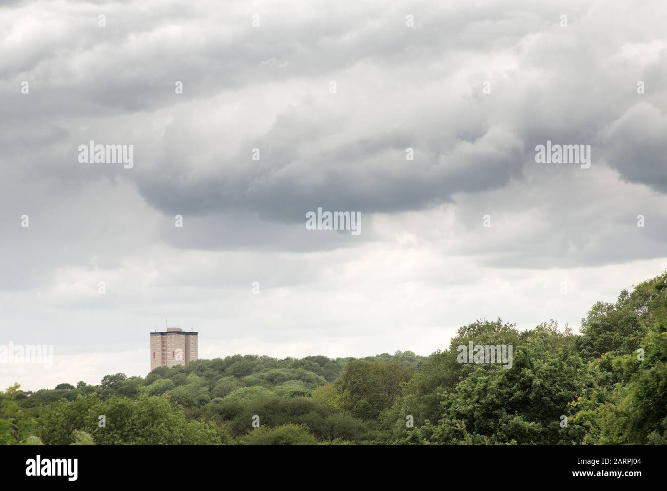 tree lined landscape with city building behind Stock Photo - Alamy