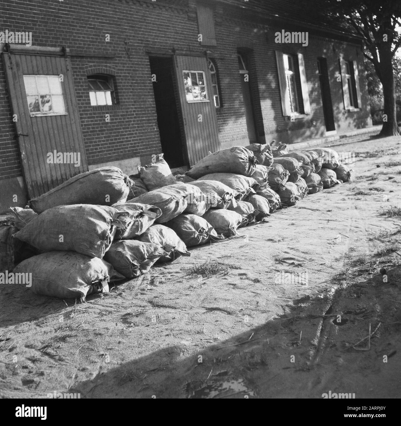 String of beans Black and White Stock Photos & Images - Alamy