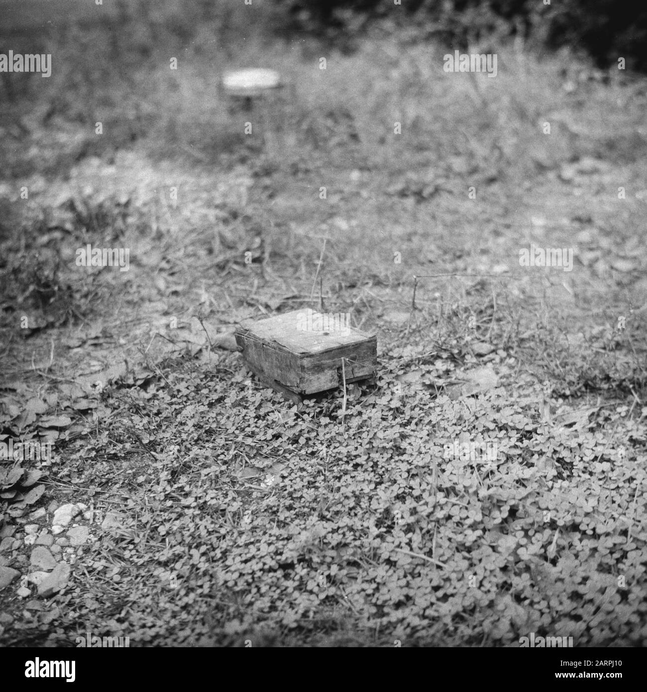 Glasmine hi-res stock photography and images - Alamy