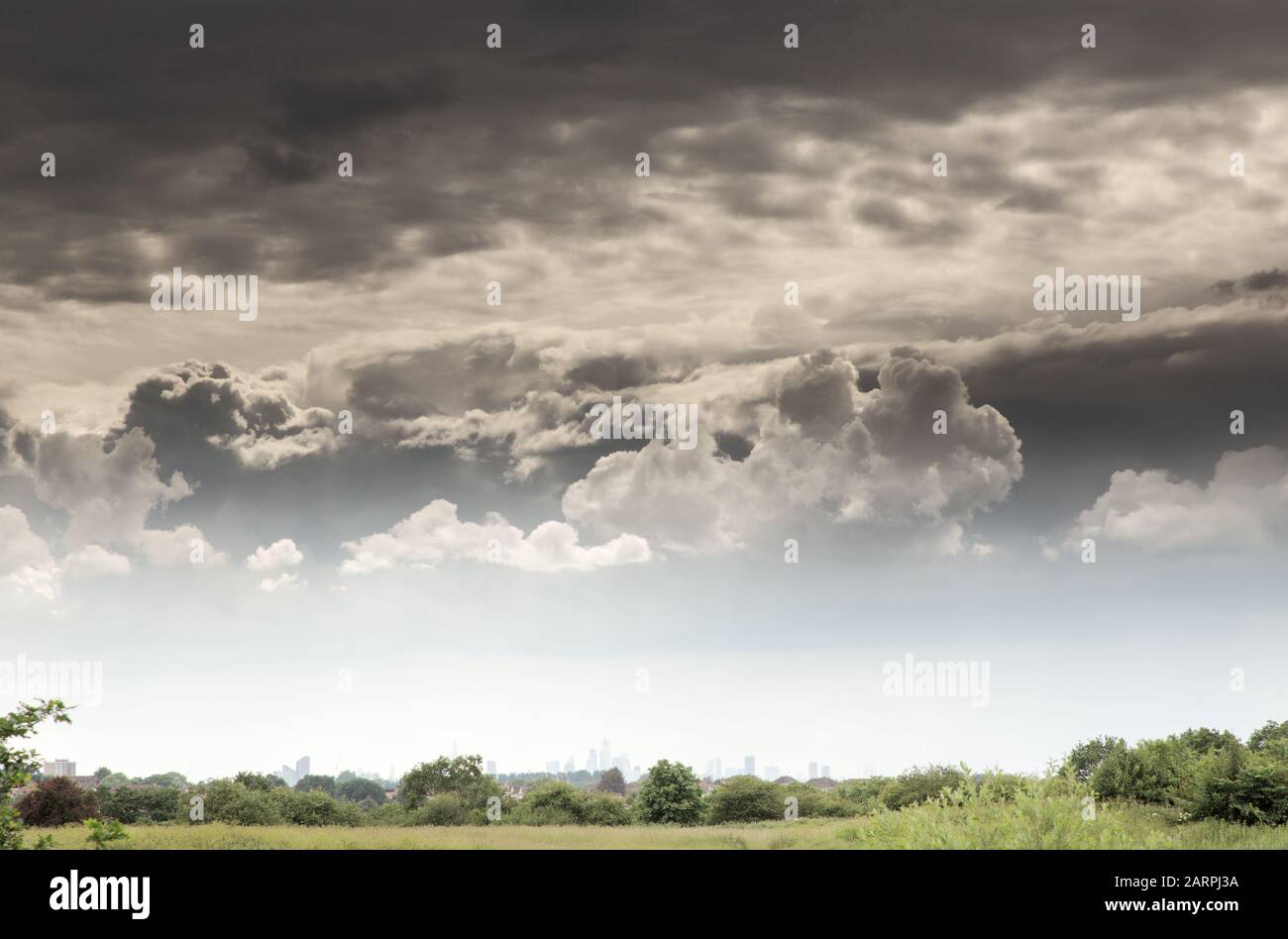 tree lined landscape with city building behind Stock Photo - Alamy