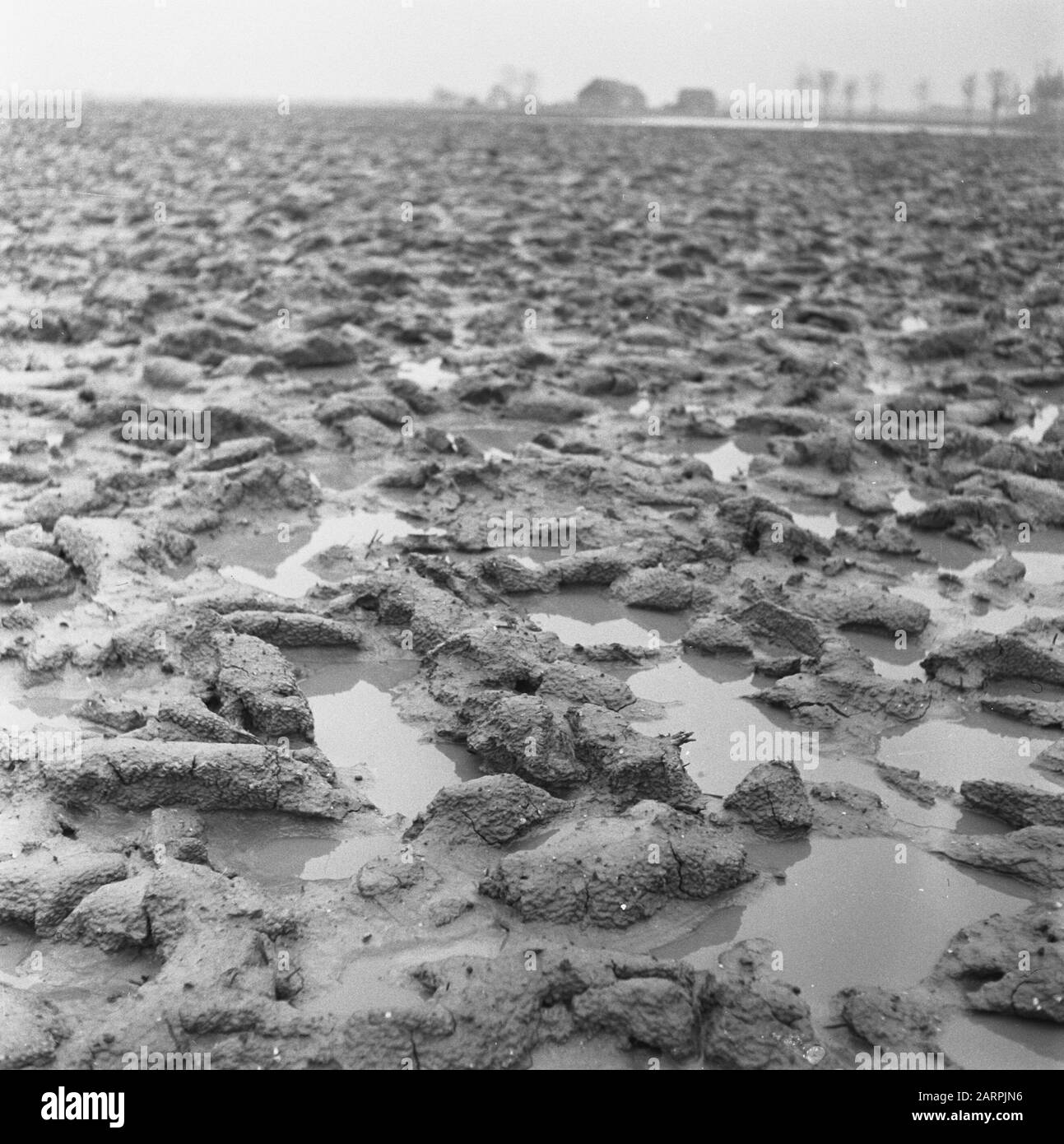 28 february 1946 Black and White Stock Photos & Images - Alamy