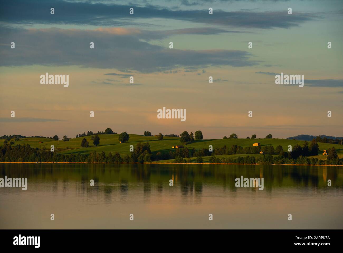 View over the Lake Forggensee to meadows, pastures and mountains in the ...
