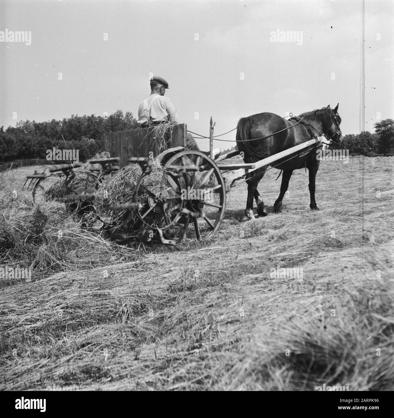 Hay time Date: June 18, 1947 Stock Photo - Alamy