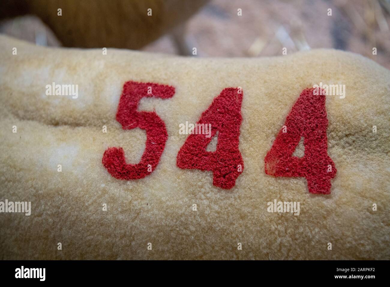 Numbers on the sheep hi-res stock photography and images - Alamy