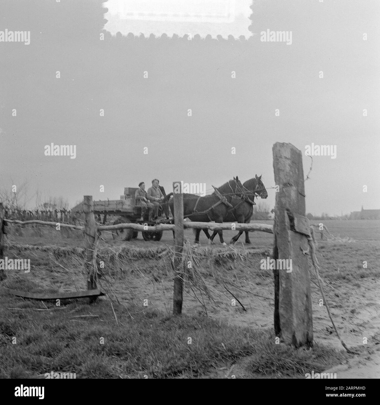 Rozenburg hi-res stock photography and images - Alamy