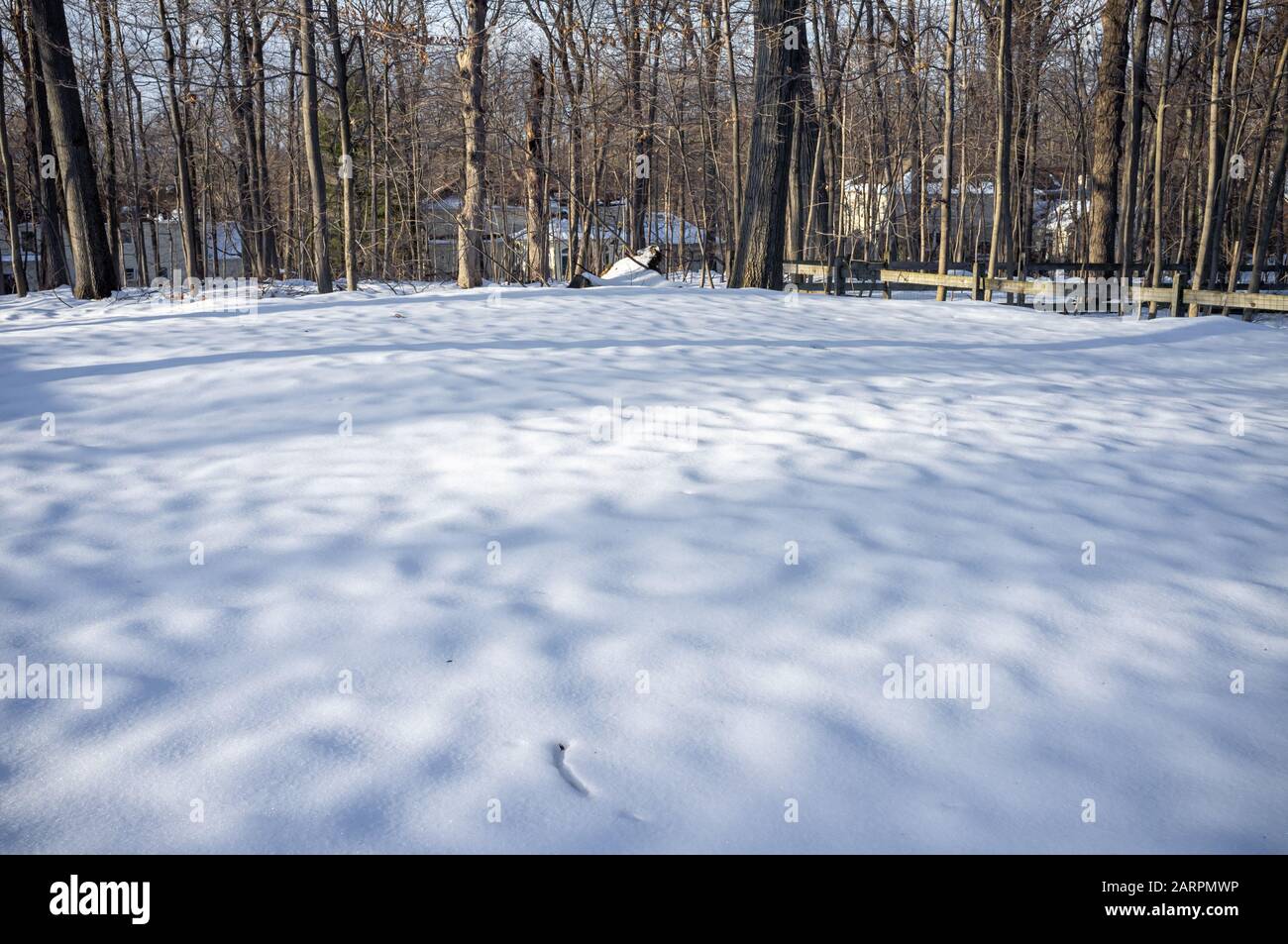 backyard covered with snow in winter Stock Photo - Alamy