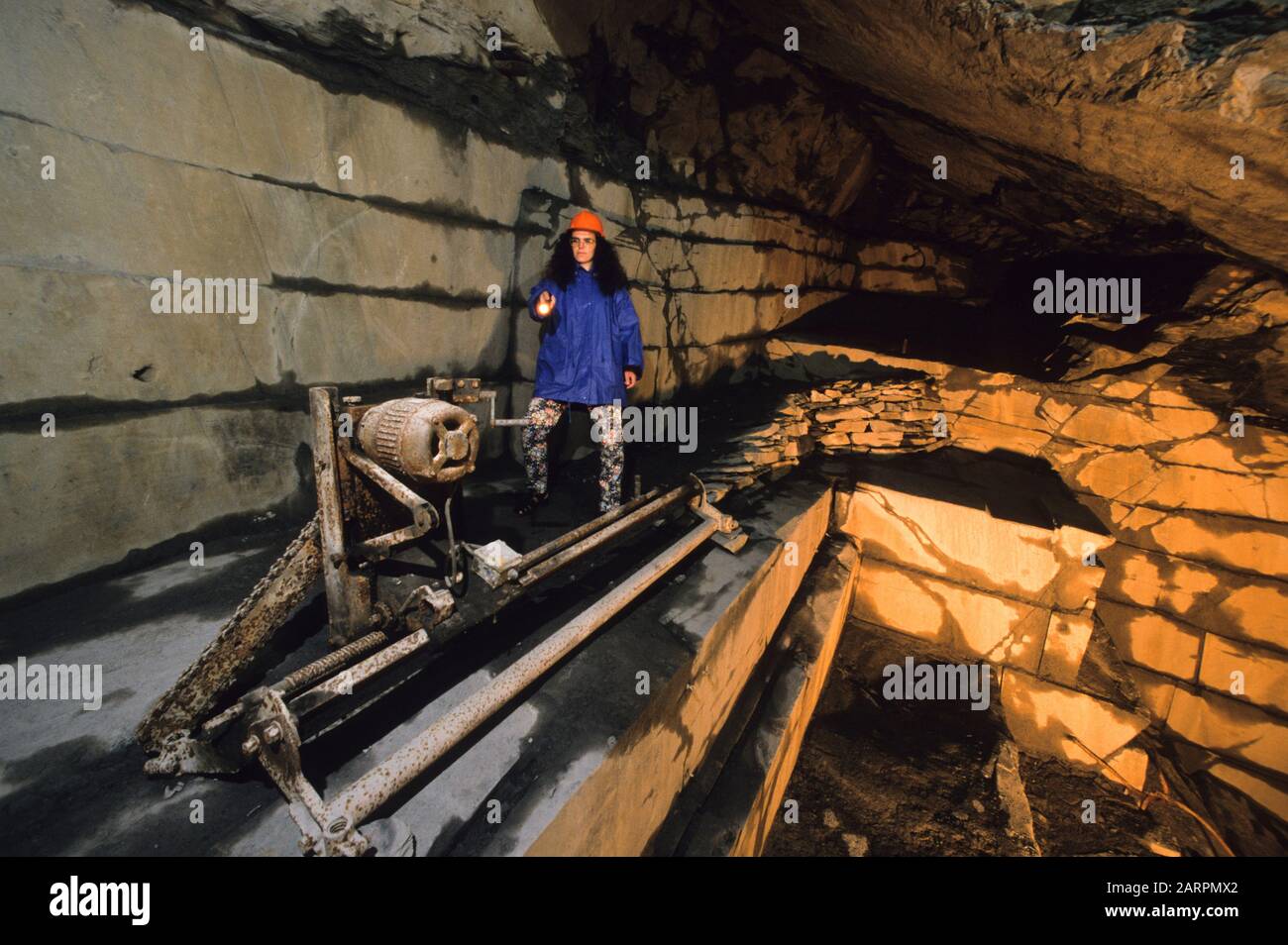 Isolona hi-res stock photography and images - Alamy