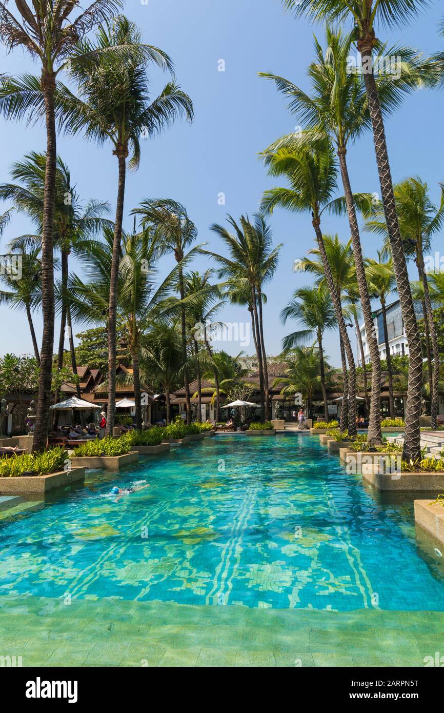 Myanmar burma palm trees in hi-res stock photography and images - Alamy