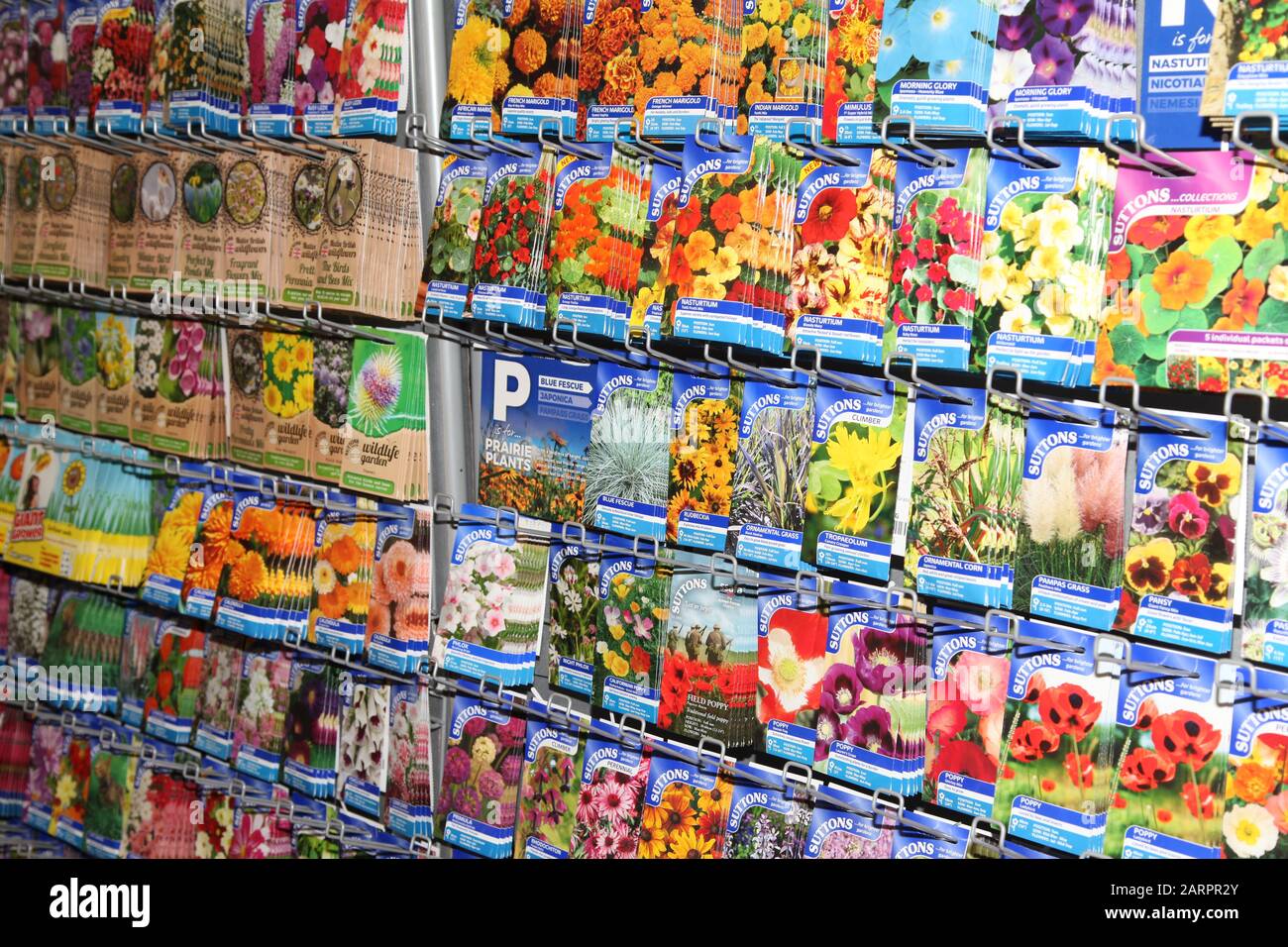 Packets of Suttons Seeds hang on display in garden centre, flower seeds ...