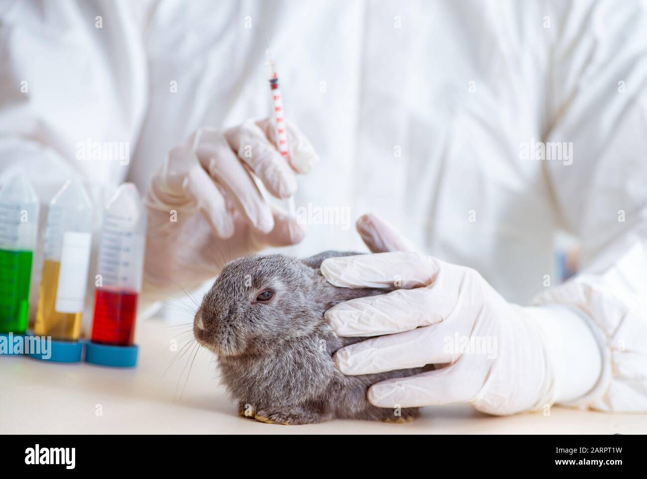 The vet doctor checking up rabbit in his clinic Stock Photo - Alamy