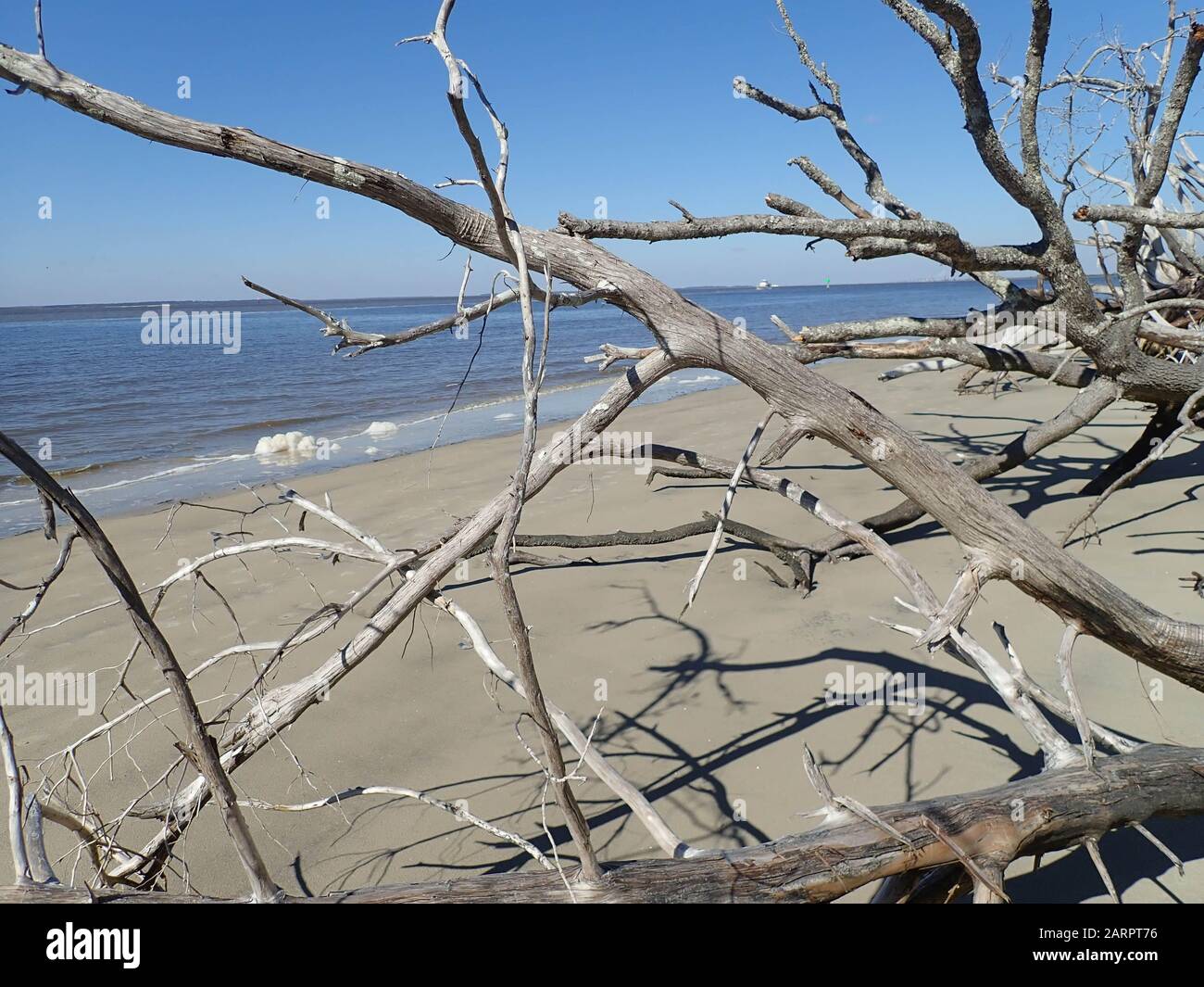 Driftwood on the Beach Stock Photo - Alamy