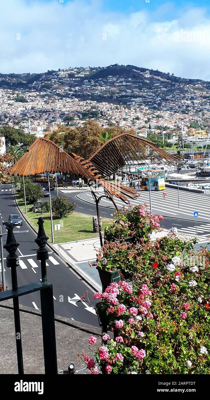 The Port where ferries and Cruise Liners Berth in Funchal Madeira ...