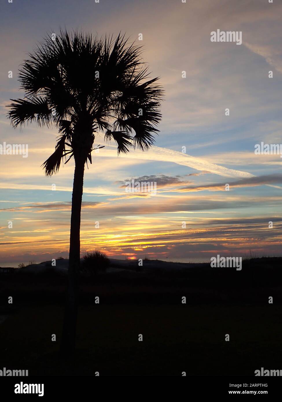 Palm tree at sunrise hi-res stock photography and images - Alamy