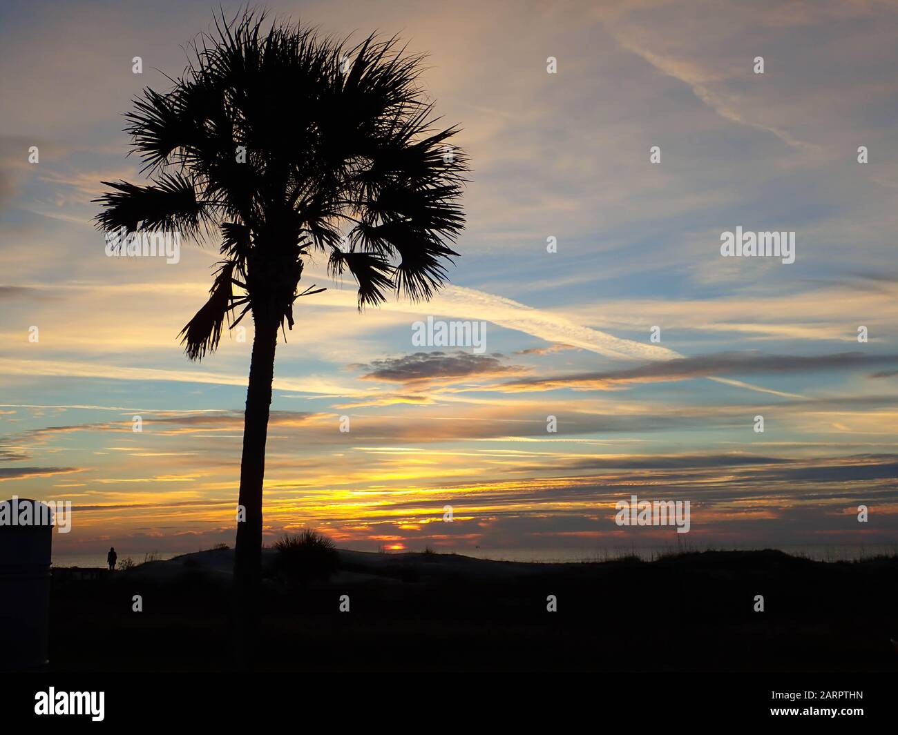 Palm Tree at sunrise Stock Photo - Alamy