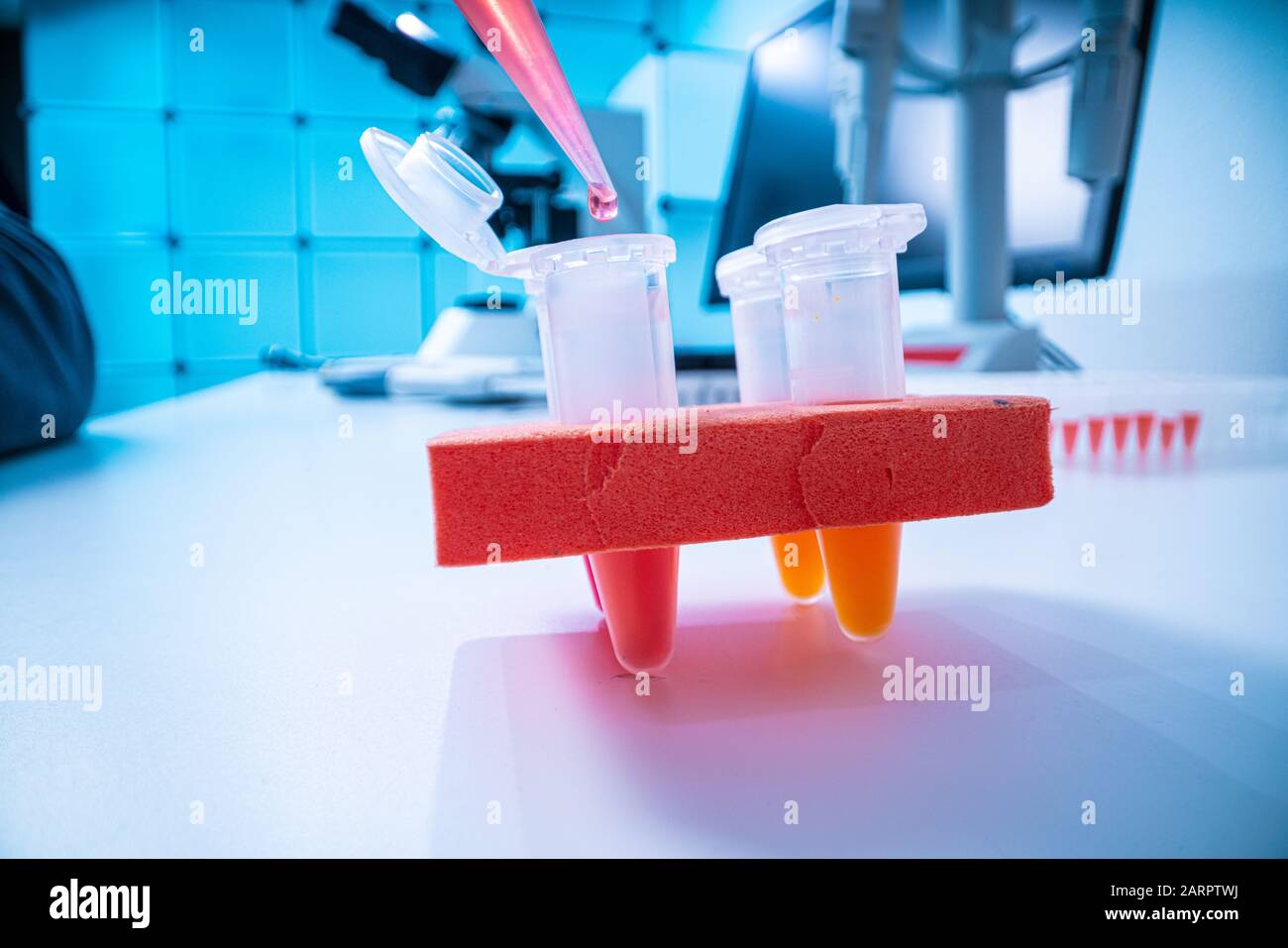 sample of biological sample for DNA analysis Stock Photo - Alamy
