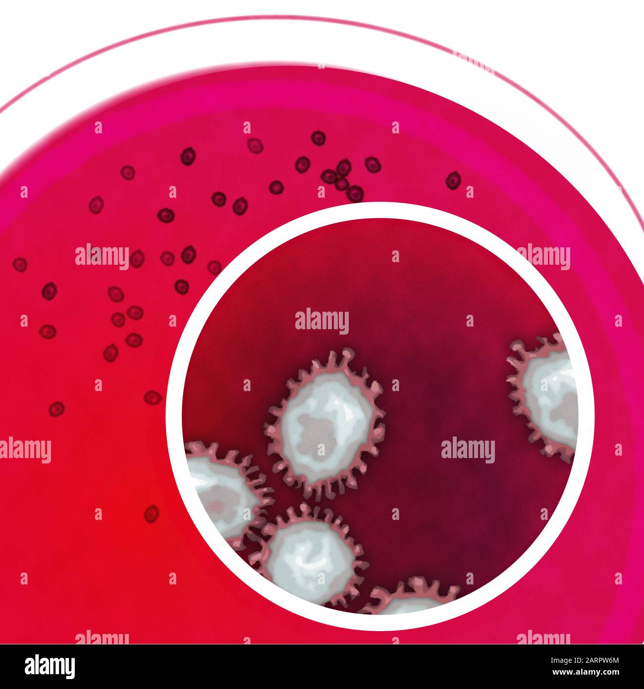 Pathogen laboratory hi-res stock photography and images - Alamy