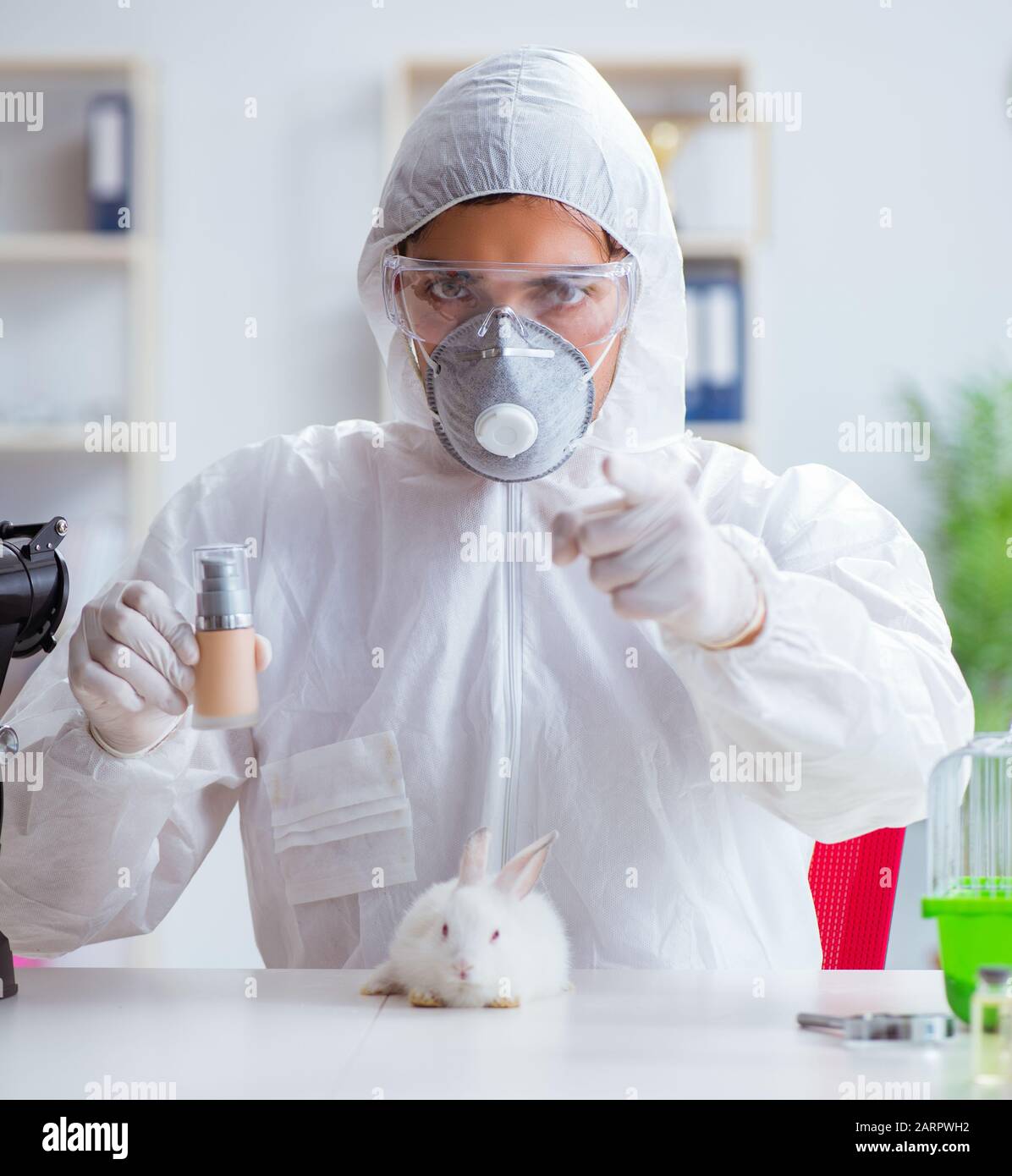 The scientist doing animal experiment in lab with rabbit Stock Photo ...