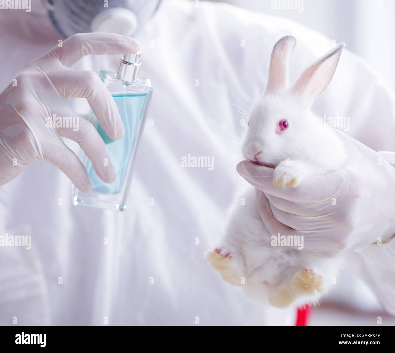 The white rabbit in scientific lab experiment Stock Photo - Alamy