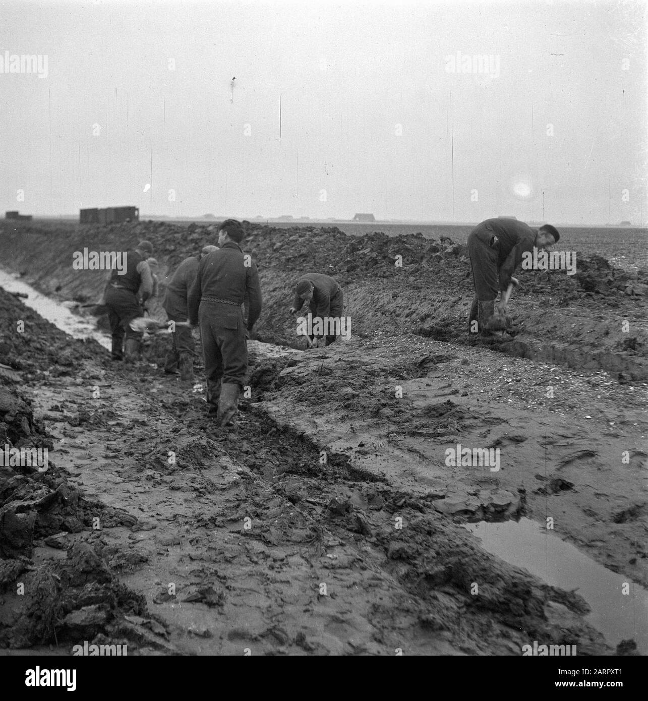 Polder wieringermeer hi-res stock photography and images - Alamy