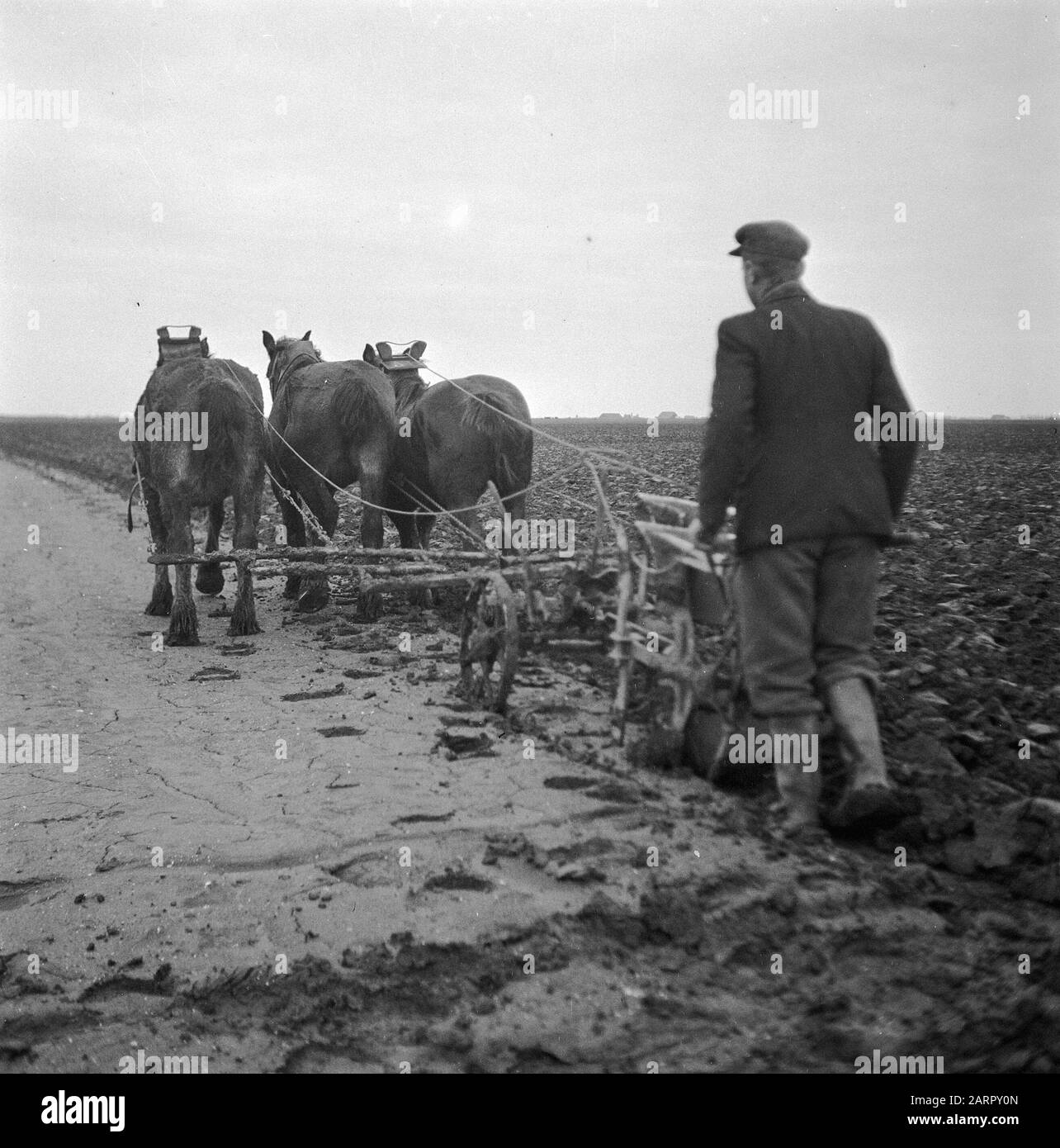 Polder wieringermeer Black and White Stock Photos & Images - Alamy