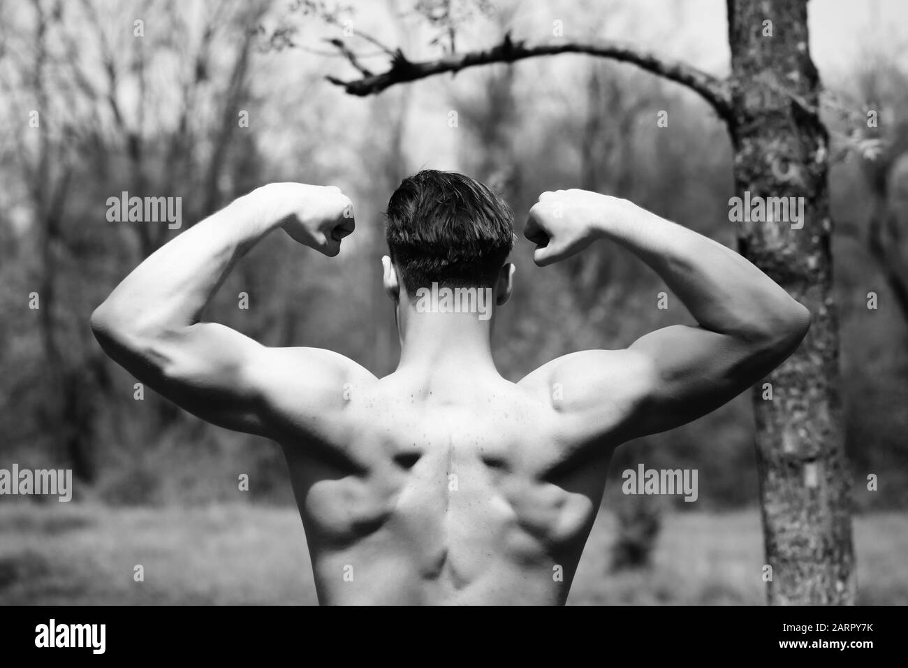 Biceps and back muscles of strong man with stylish haircut on park ...