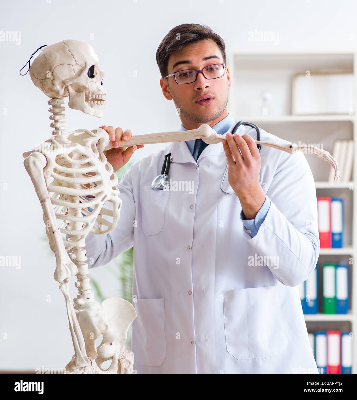 The yong male doctor with skeleton isolated on white Stock Photo - Alamy
