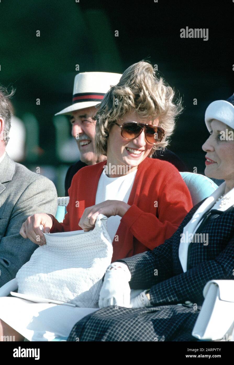 Princess Diana Polo High Resolution Stock Photography and Images - Alamy