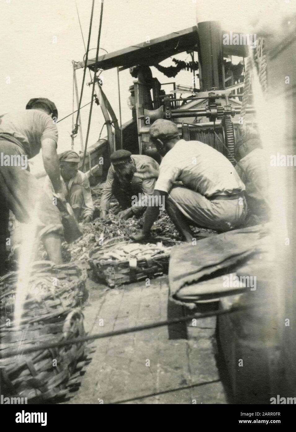 Fishermen sorting the fish onboard, Italy 1930s Stock Photo - Alamy