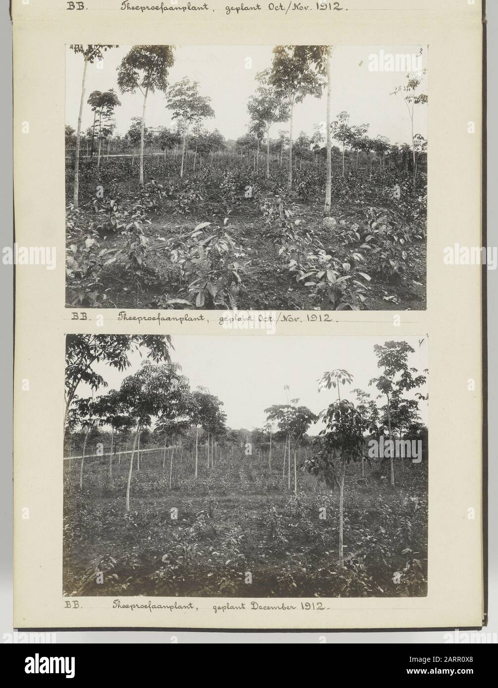 Photo missing hi-res stock photography and images - Alamy