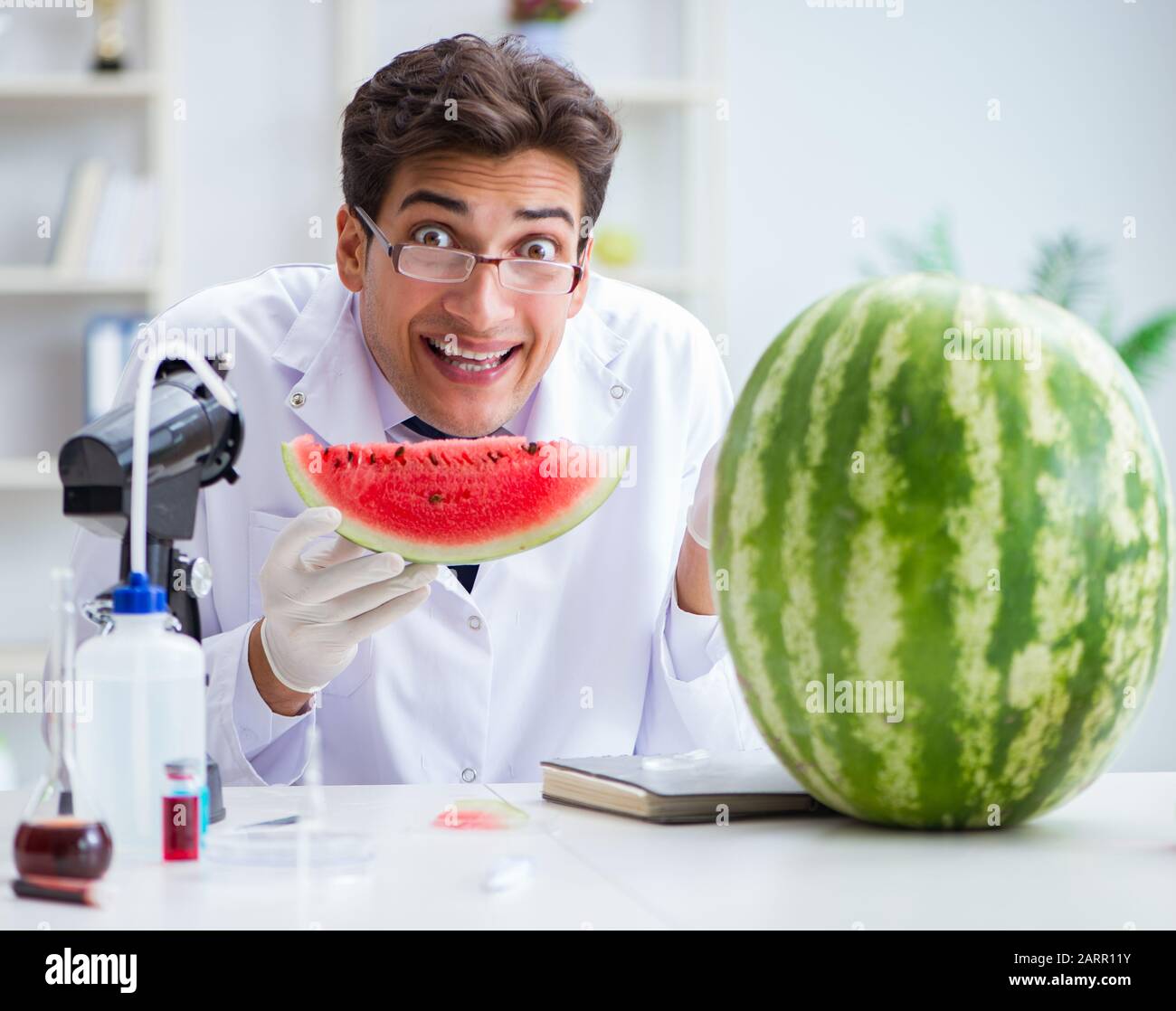 The scientist testing watermelon in lab Stock Photo - Alamy