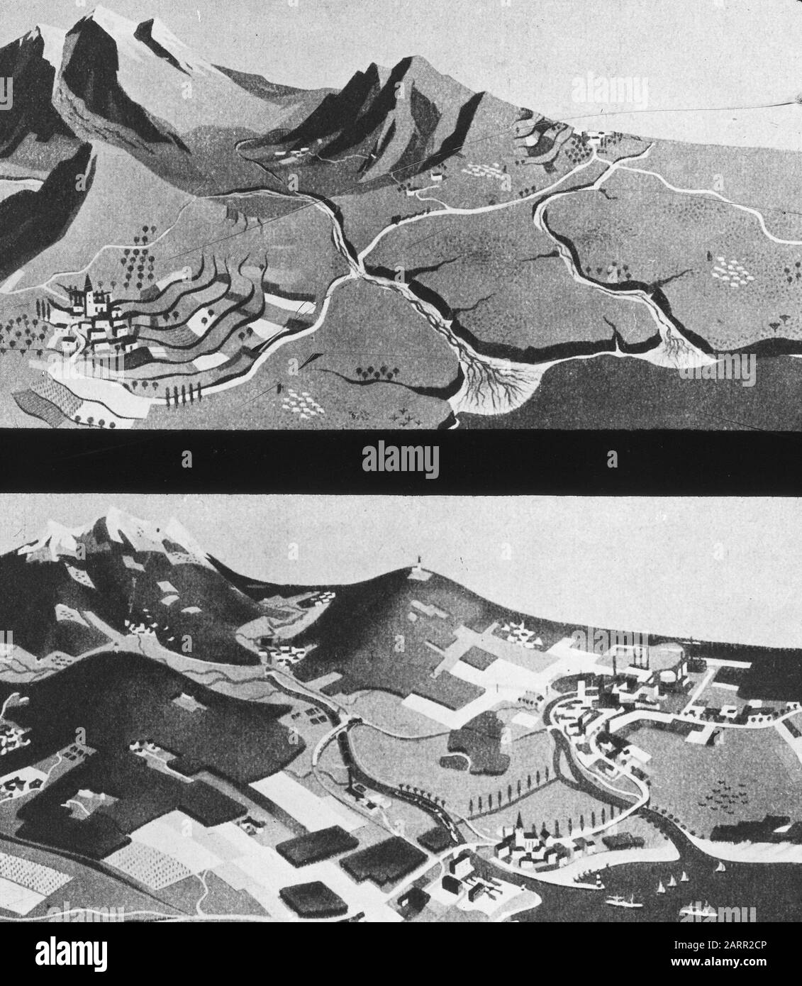 diagram, the protective effect of forest, the consequences of ...