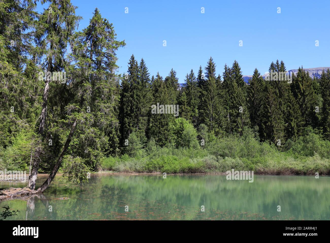 Switzerland flims alps village mountains hi-res stock photography and ...