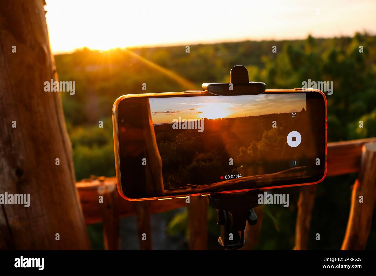 smartphone recording a sunset from tree house Stock Photo - Alamy