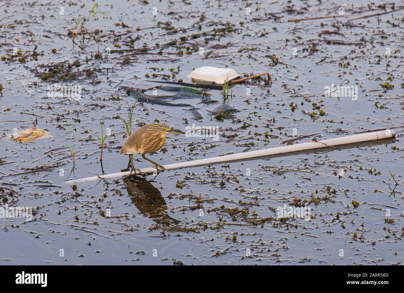 Water pollution tube hi-res stock photography and images - Alamy