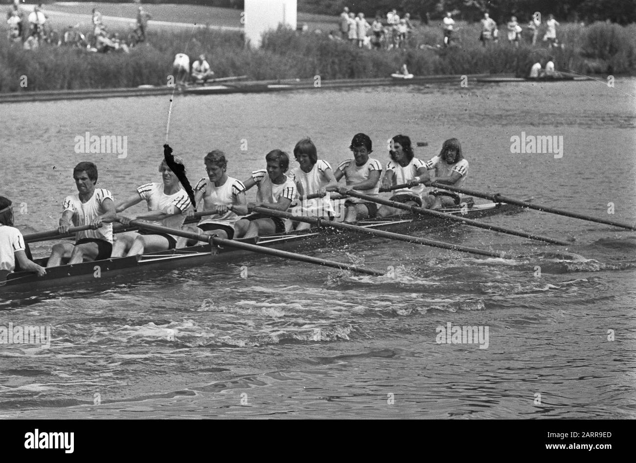 Bos i hi-res stock photography and images - Alamy