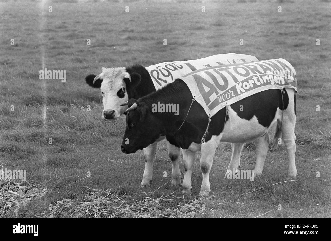 Marketing stands Black and White Stock Photos & Images - Alamy