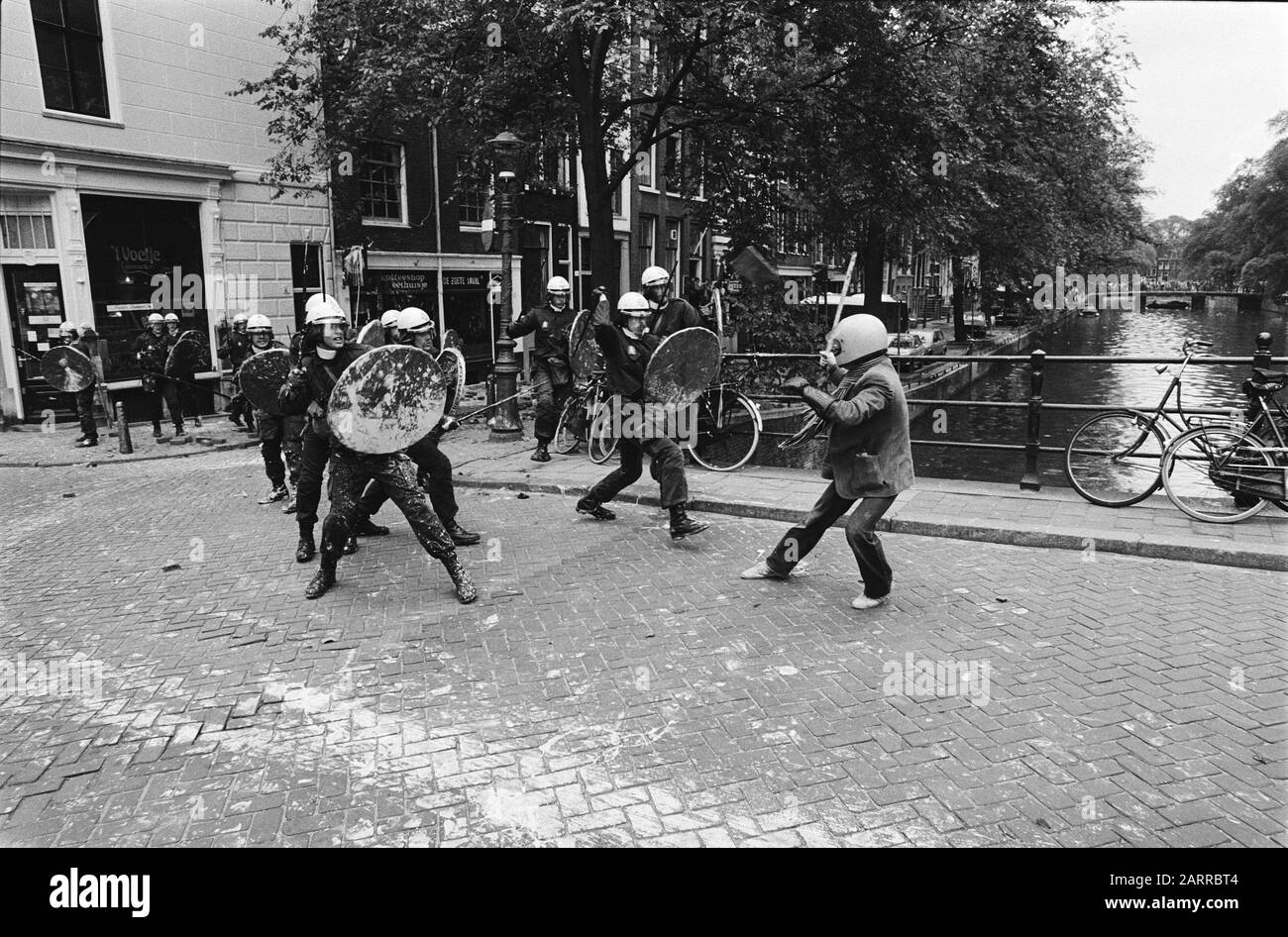 Helmeted squatters hi-res stock photography and images - Alamy