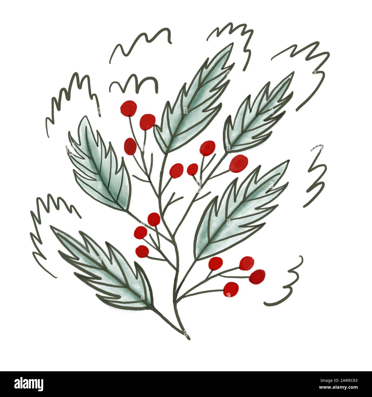 Sprig with red berries on a white background Stock Photo - Alamy
