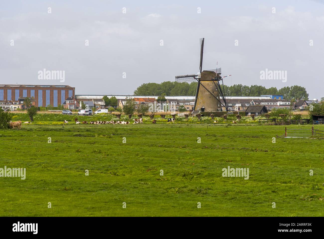 Travel in Netherlands . traditional Holland - Windmills . Windmills at ...