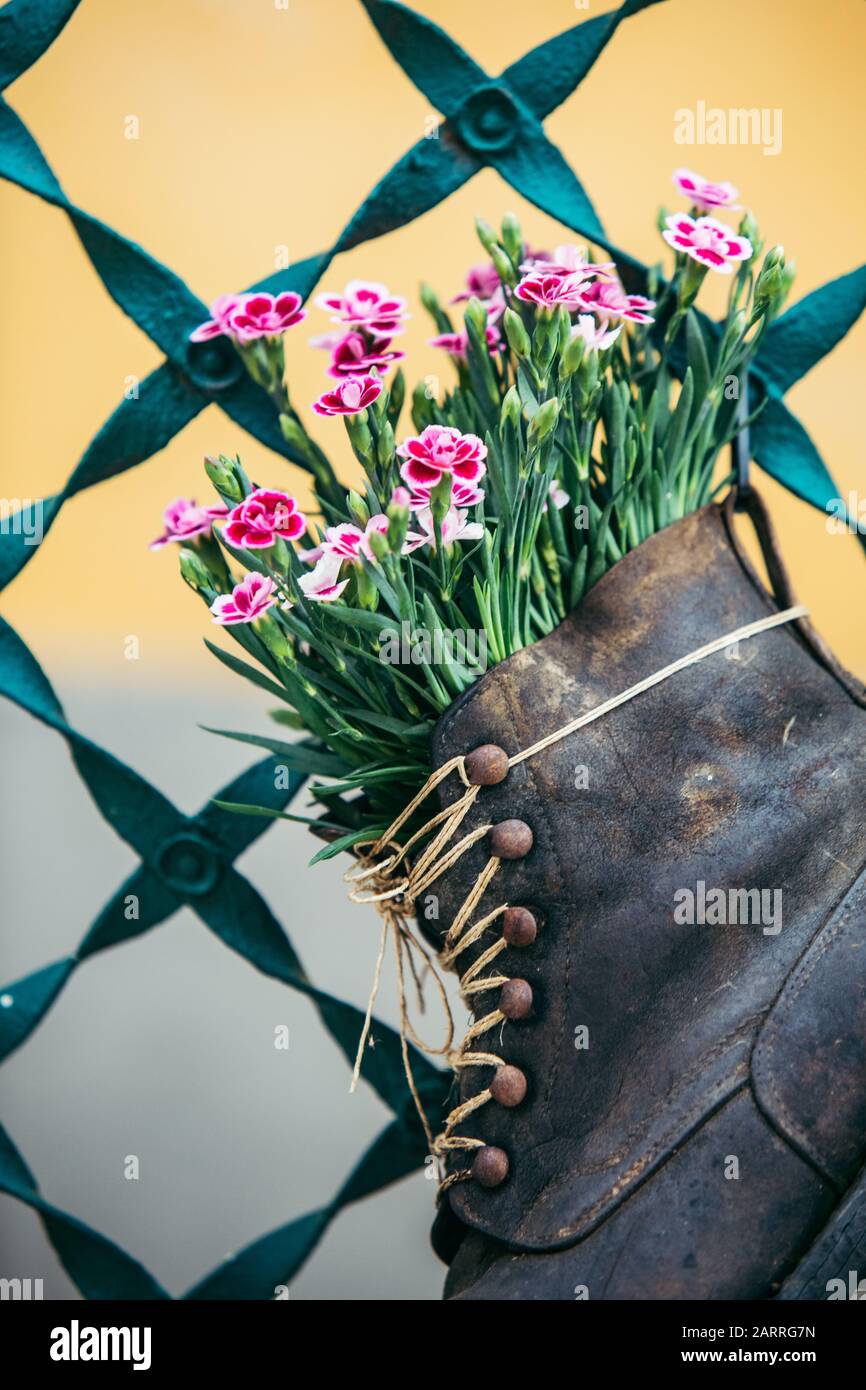 Cowboy boot flowers hi-res stock photography and images - Alamy